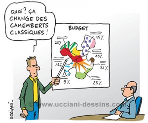 UCCIANI DESSINSBudget - Dessins de communication.